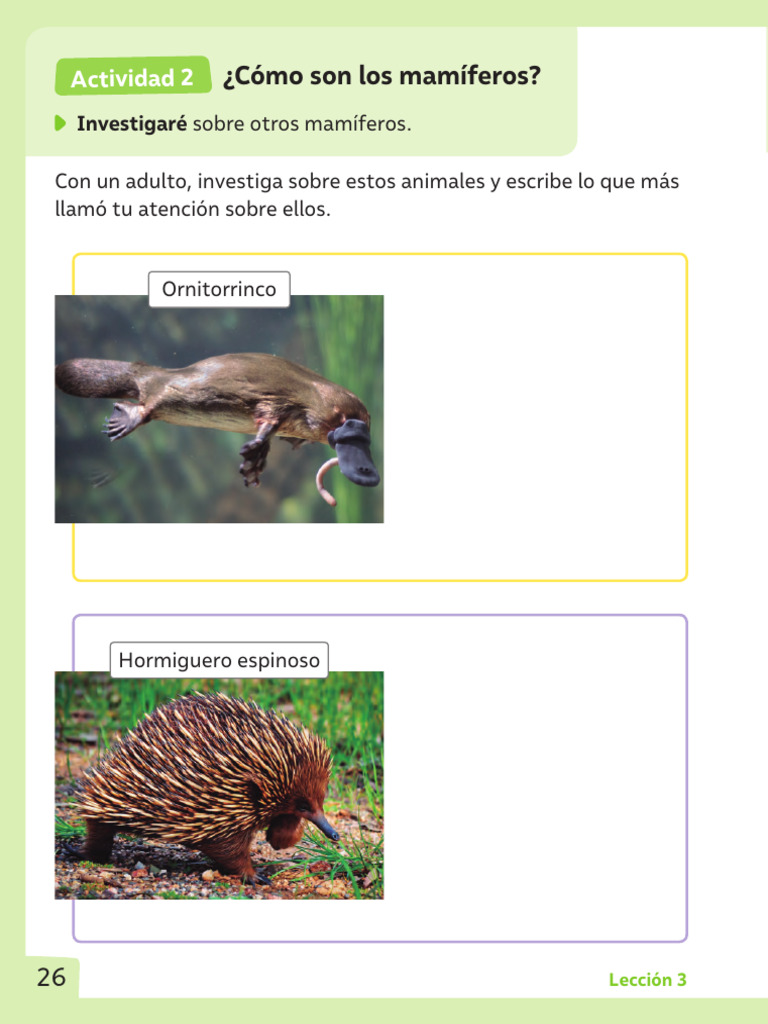 Aptus 02 Cien 07 | PDF