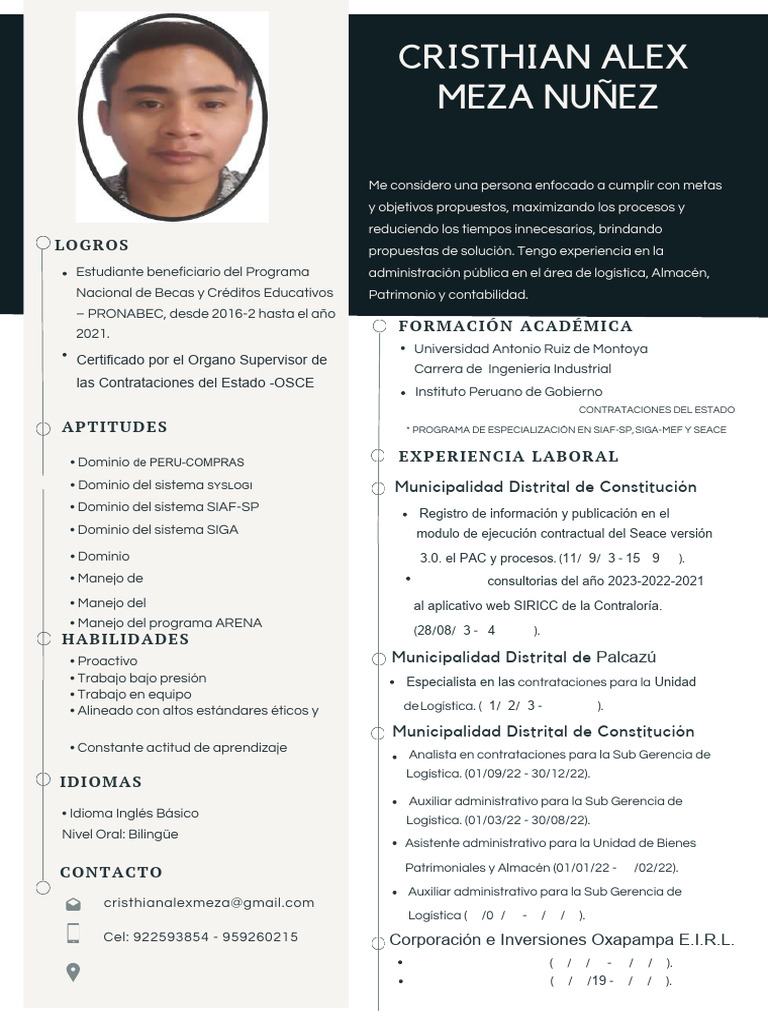 CV Cristhian Alex Meza Nuñez 2023 - Resumido | PDF | Business ...