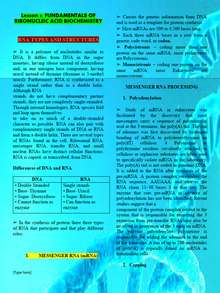 Lesson 3A - RNA Types and Structures | PDF | Rna | Messenger Rna