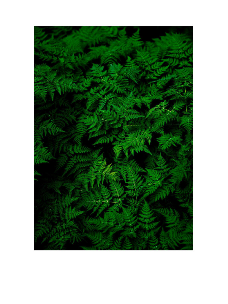 Green | PDF
