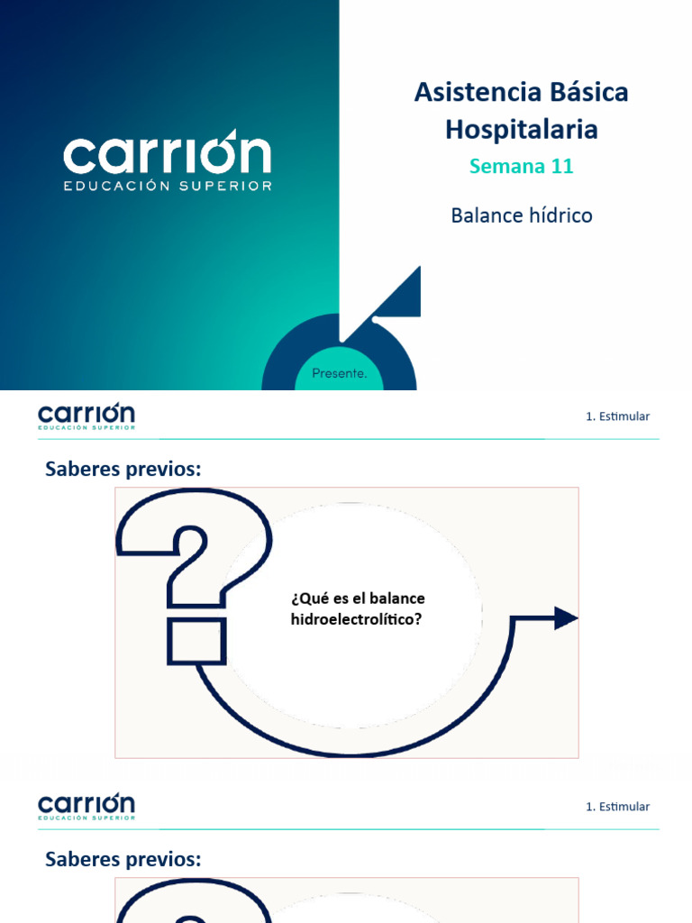PS11 - ET Asisgtencia Basica Hospitalaria | PDF | Salud y bienestar