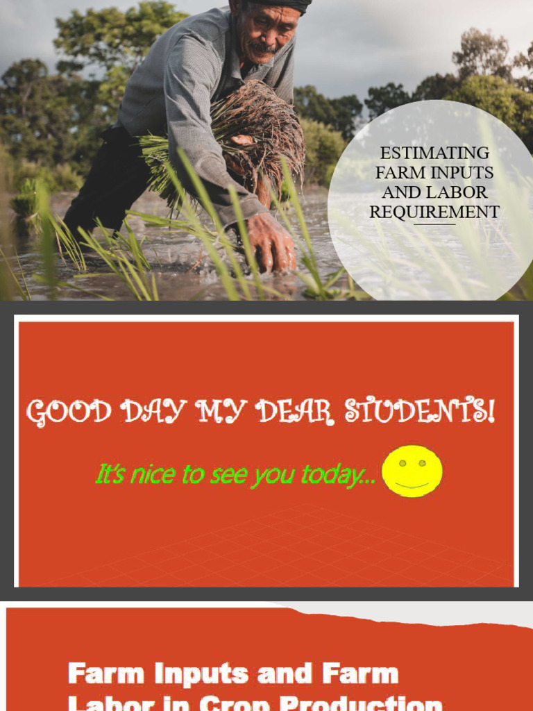 Agricrop - Estimating Farm Inputs and Labor Requirement | PDF