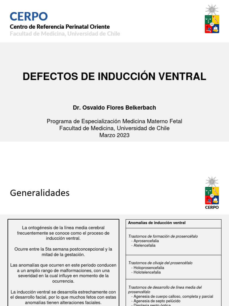 5 Defectos de Induccion Ventral - Archivo | PDF | Cerebro | Enfermedades y trastornos humanos