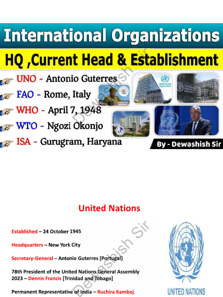 International Organisations | PDF