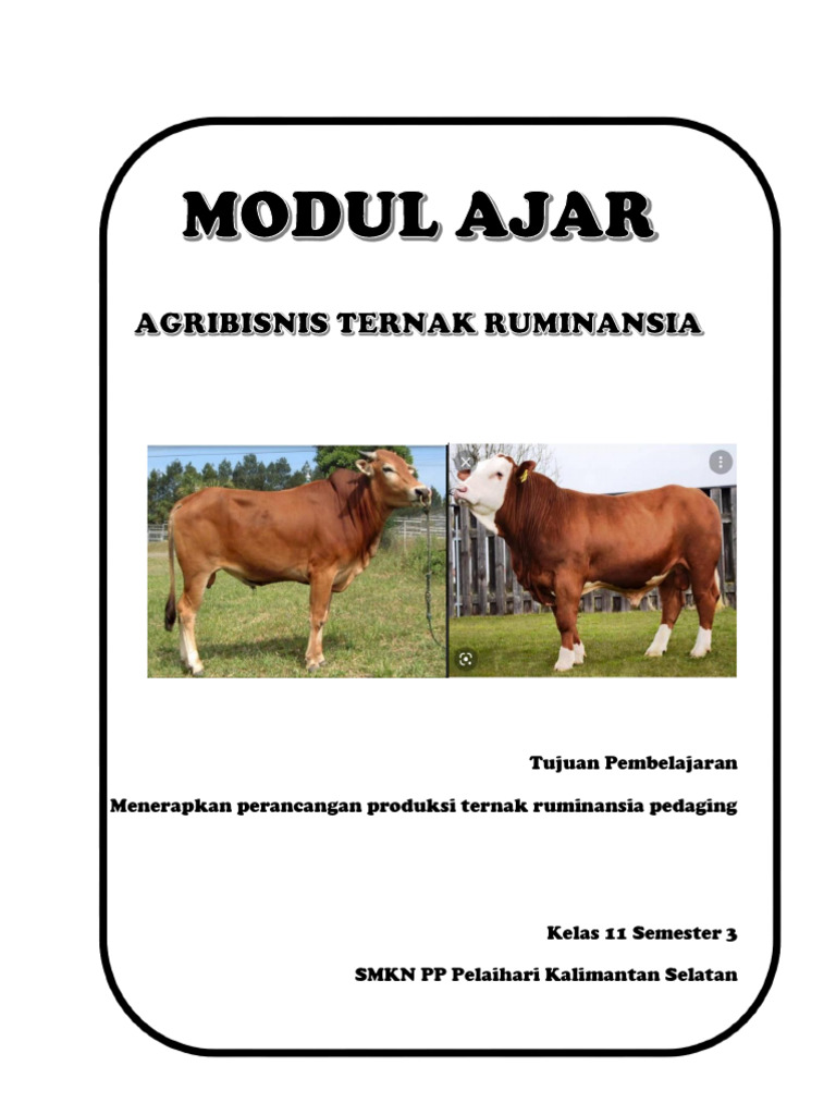 Modul Ajar Agribisnis Ternak Ruminansia - Perancangan Produksi Ternak Pedaging - Fase F | PDF