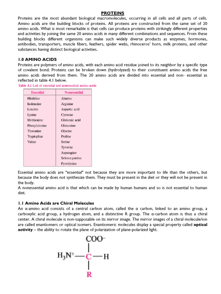PROTEINS Notes | PDF