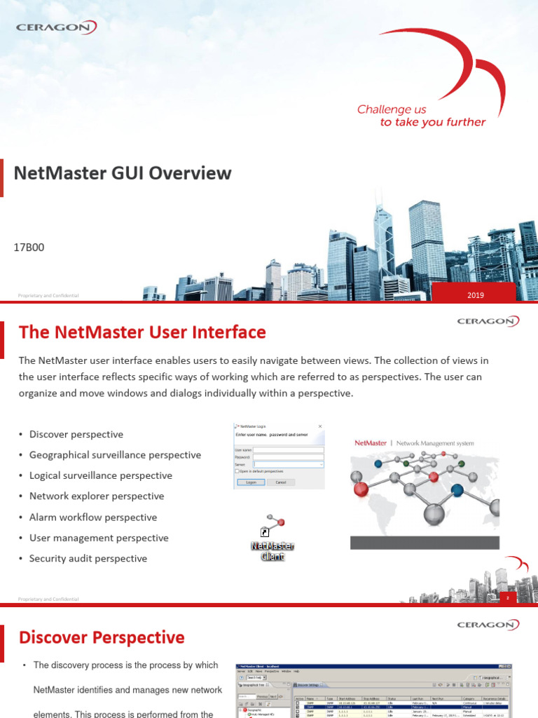 NetMaster GUI User Perspectives Overview | PDF | Computer Network | Computing