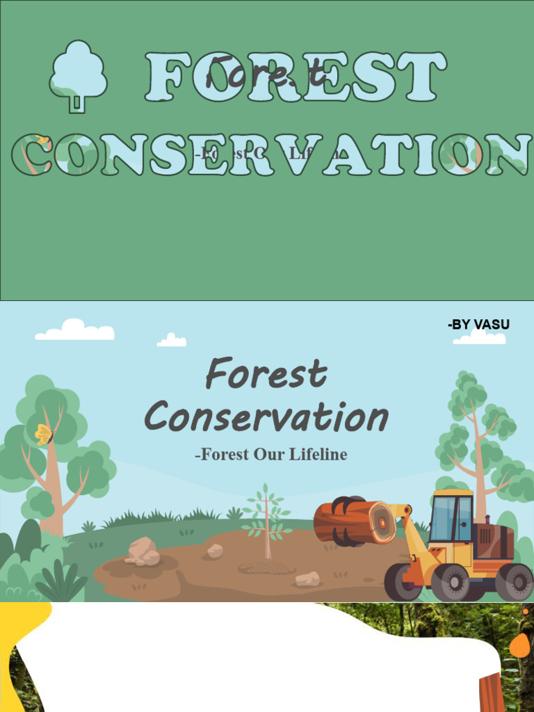 Forest Conservation 1 | PDF | Deforestation | Soil