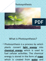 Grade 8 - Photosynthesis and Respiration (Notes) | PDF | Photosynthesis ...