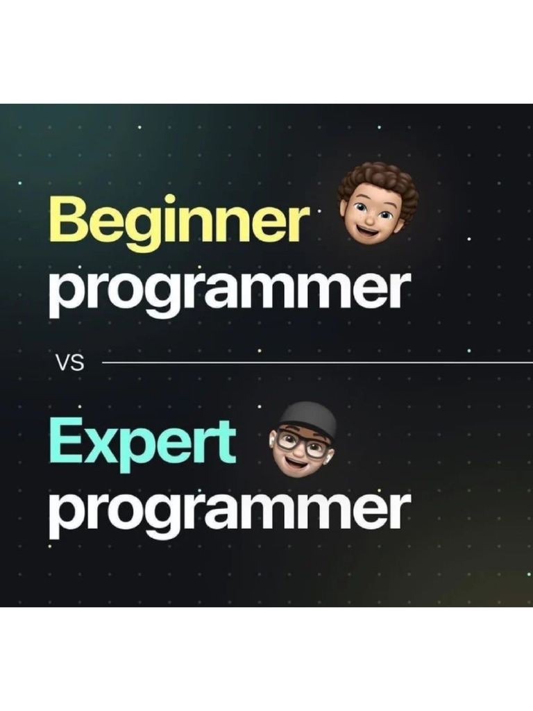 Beginner Vs Expert | PDF