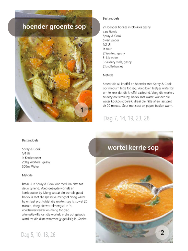 28 Dae Eetplan - E Book | PDF