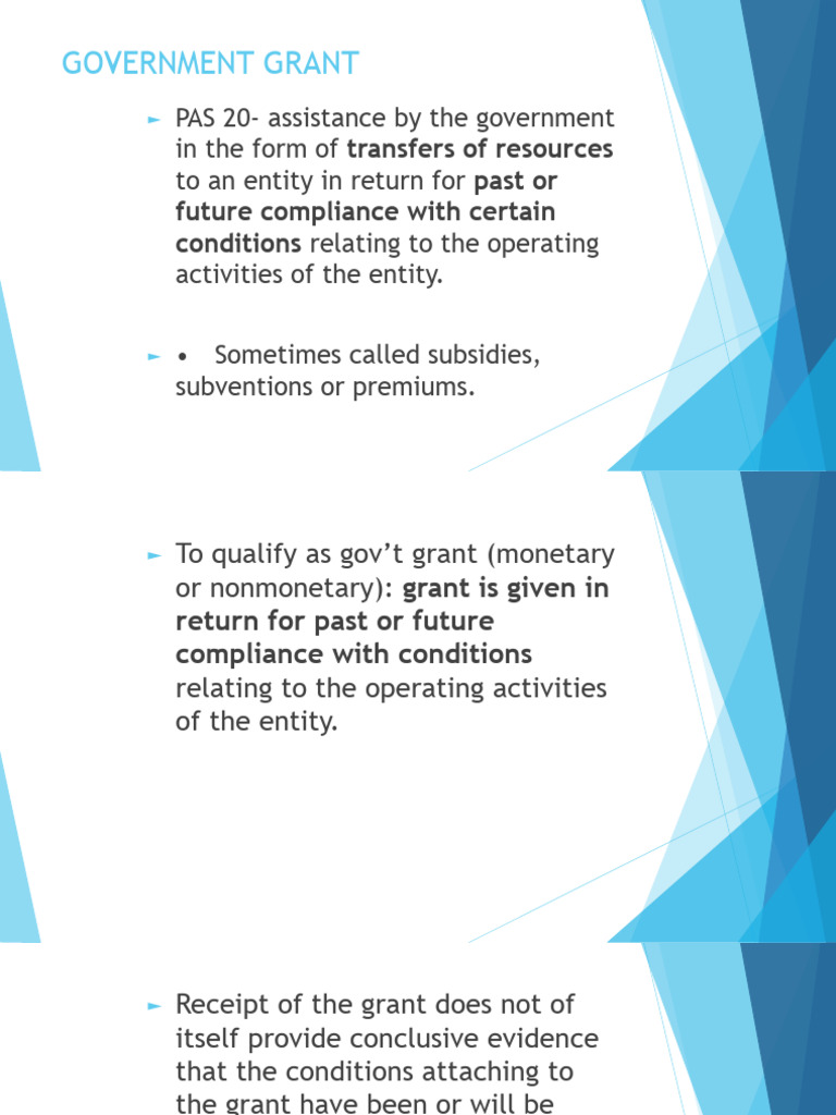 Government Grant.ppt | PDF