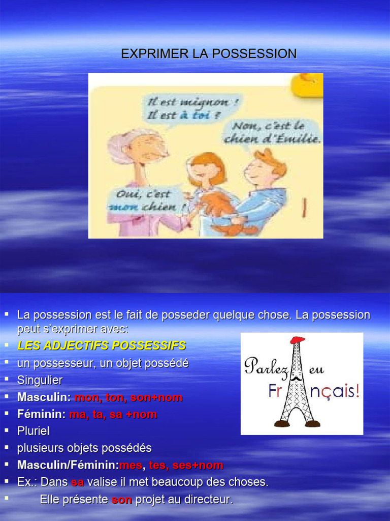 Exprimer la possession en français | PDF | Bien-être