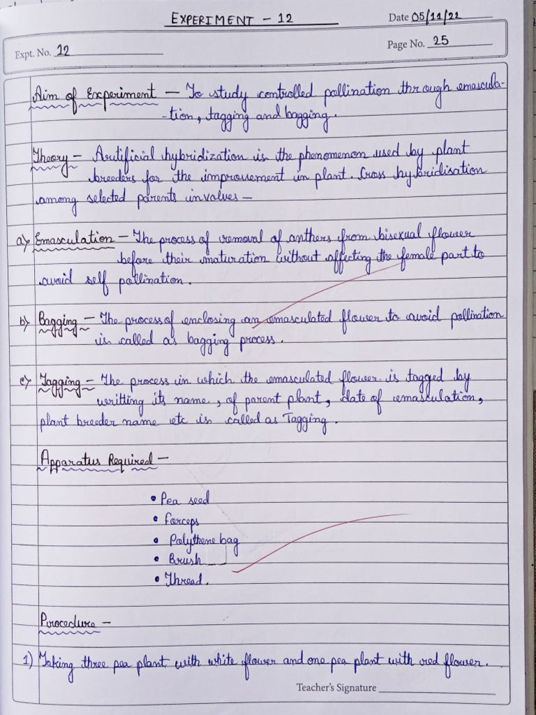 Experiment No.-12 | PDF