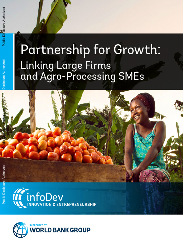 WP P156637 PUBLIC SMEs | PDF | Small And Medium Sized Enterprises ...