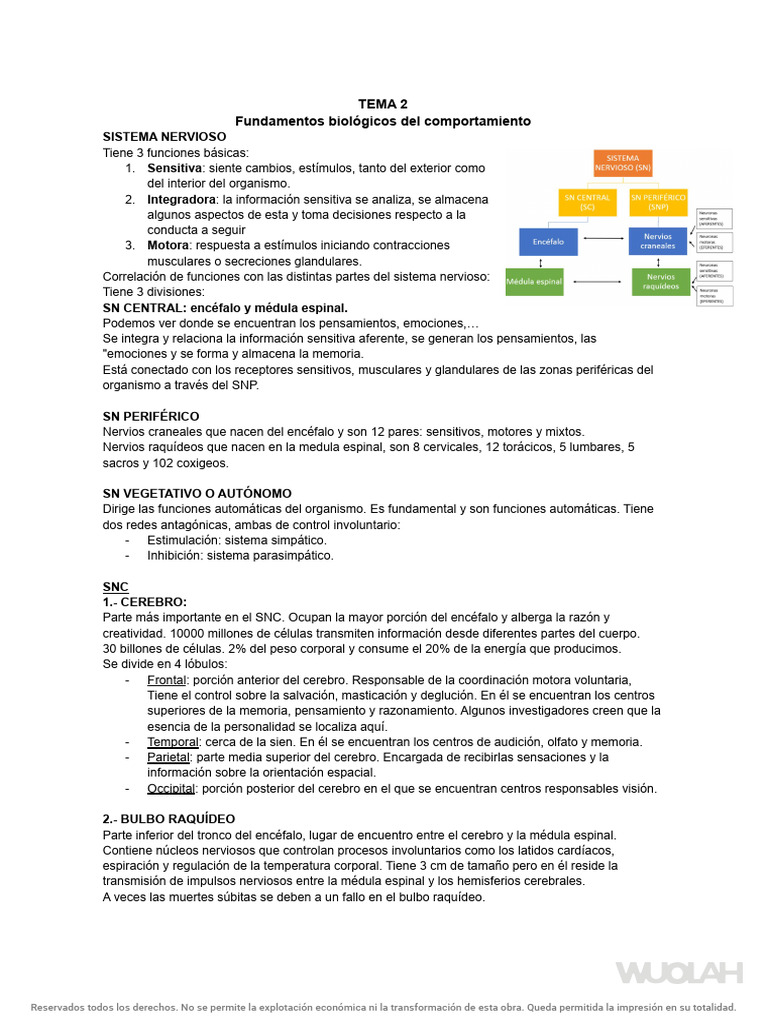 Tema 2 | PDF