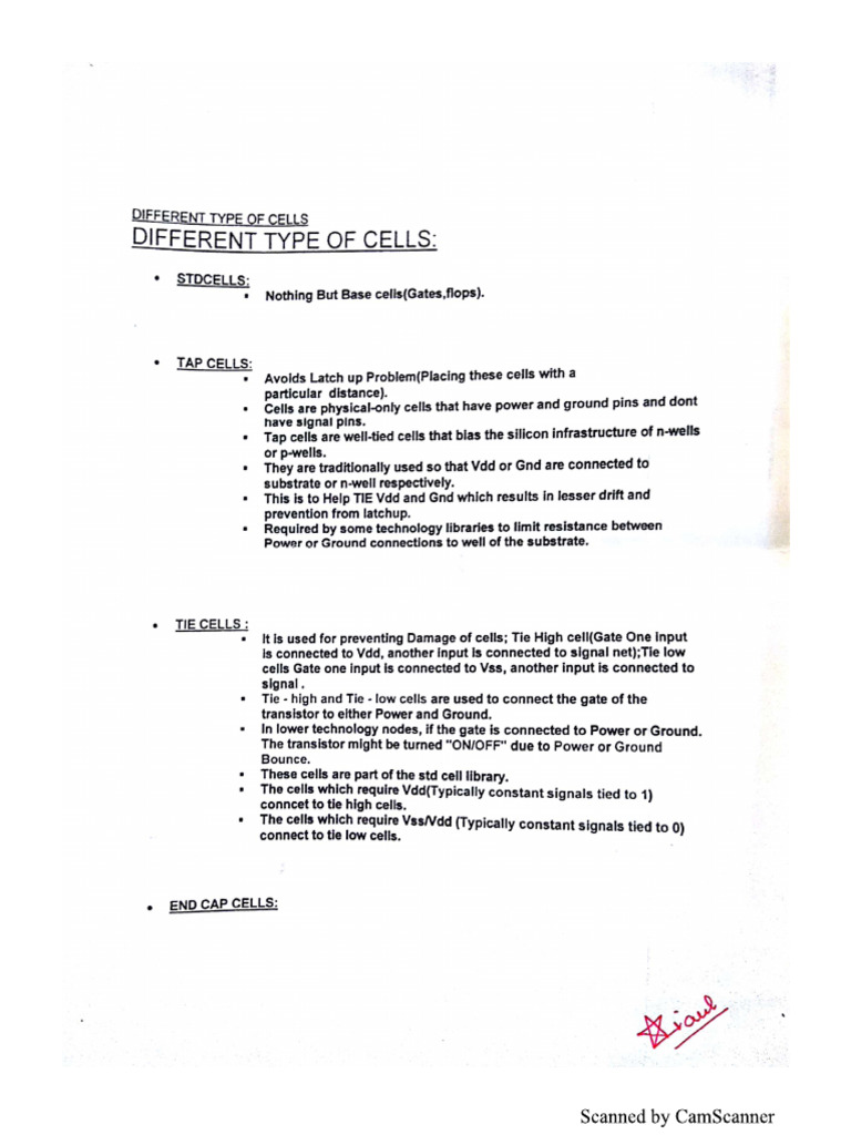 Physical Only Cells | PDF