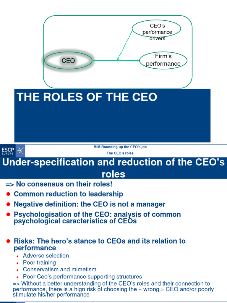 CEO Roles | Download Free PDF | Organizational Behavior | Business ...