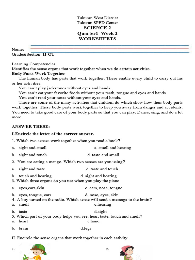 Science 2 Quarter1 Week 2 Worksheets: Body Parts Work Together | PDF ...