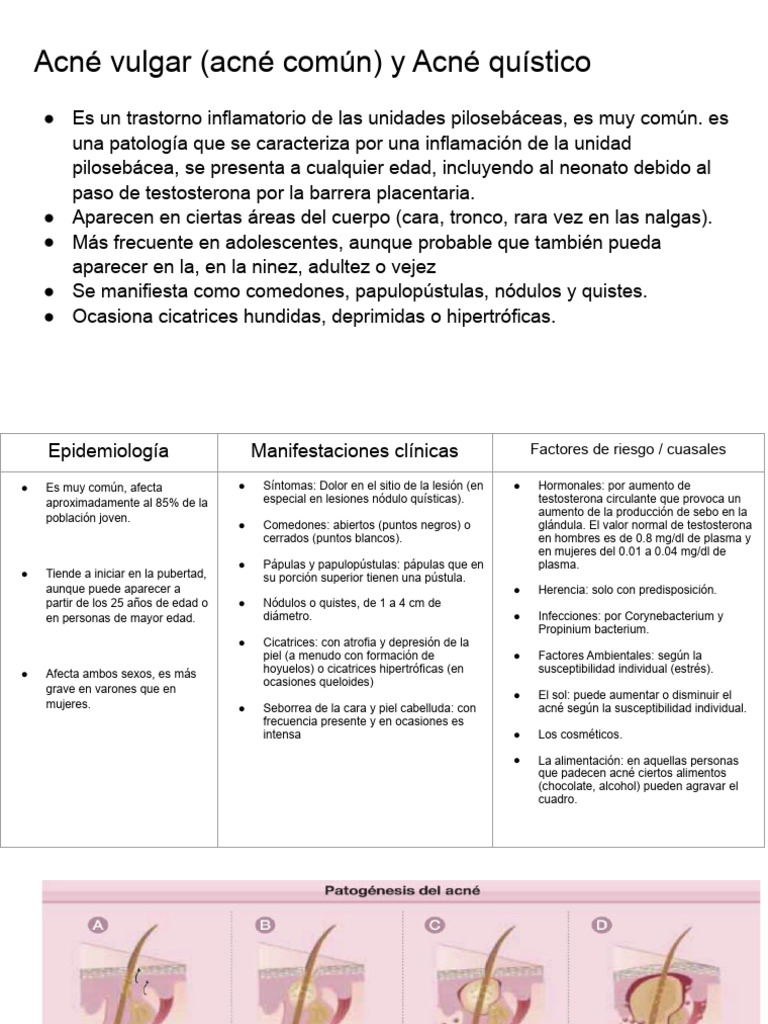 Tipos y Tratamientos del Acné Común | PDF | Dermatología | Sistema ...