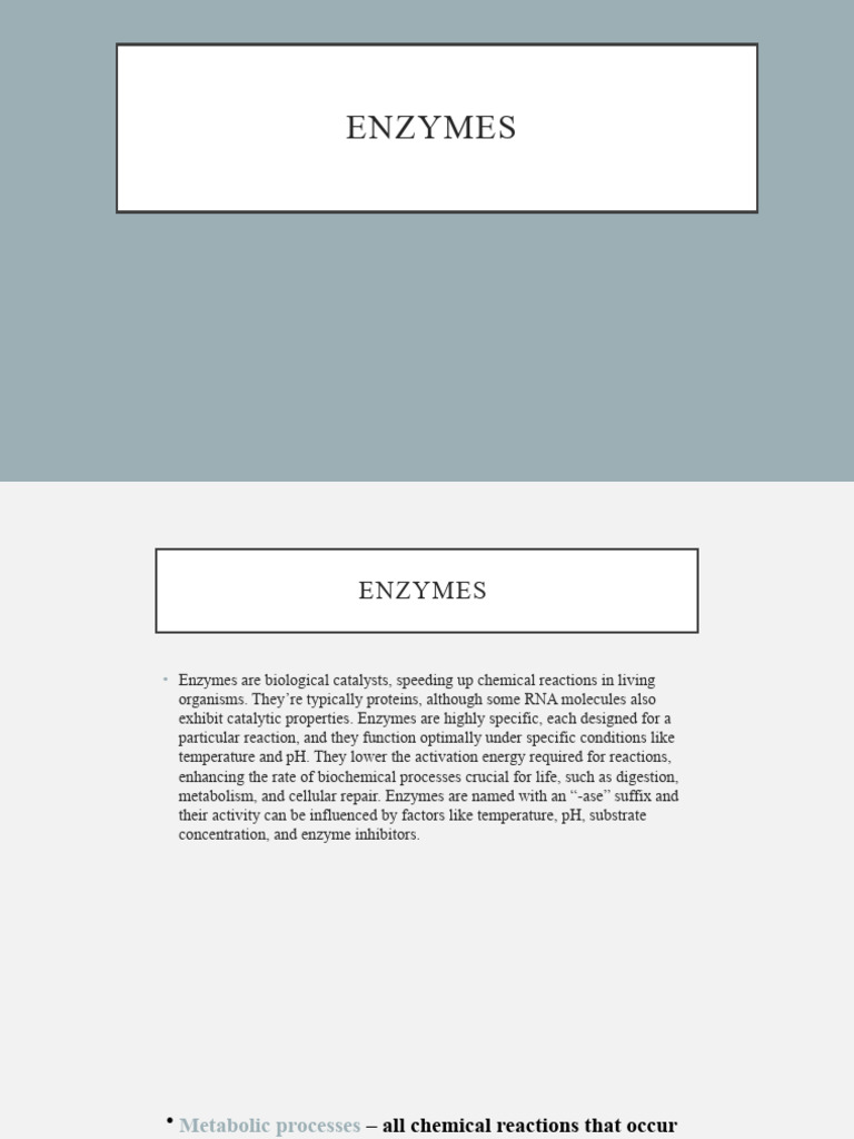 Enzymes | PDF
