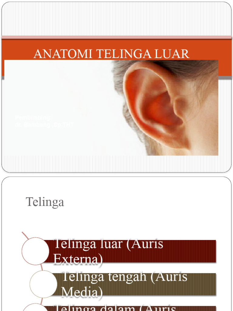 Kelainan Telinga Luar | PDF