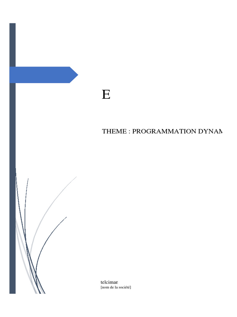 Programmation Dynamique | PDF