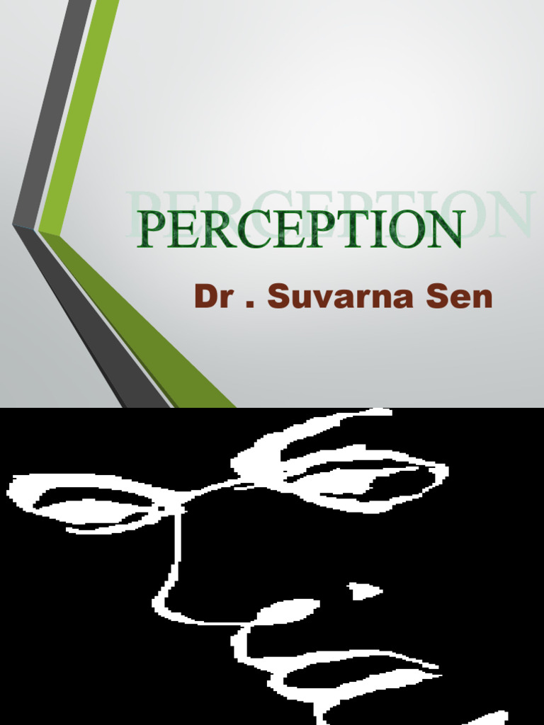 Perception | PDF | Perception | Bias