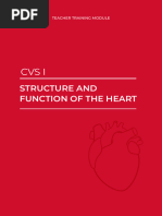 Class 10 Circulatory System Detailed Notes | PDF | Heart | Artery