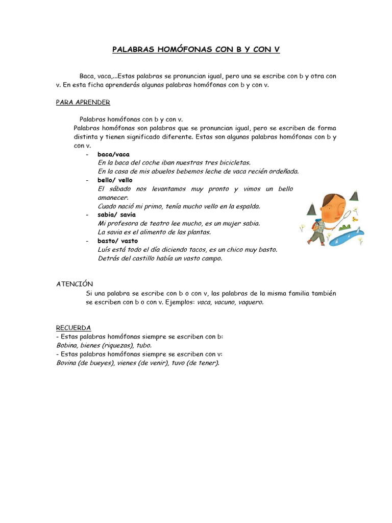 Palabras Homófonas Con B Y Con V: Baca/vaca | PDF | Vacas
