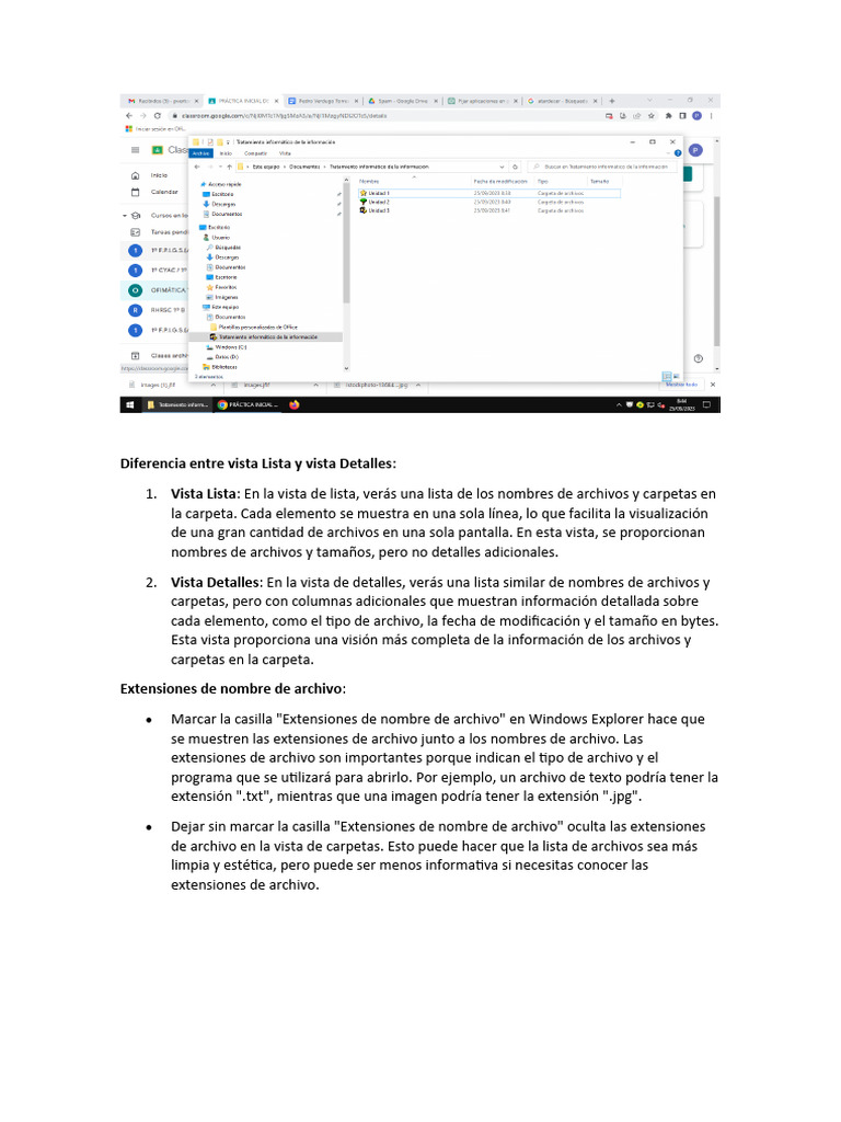 Diferencia Entre Vista Lista y Vista Detalles | PDF