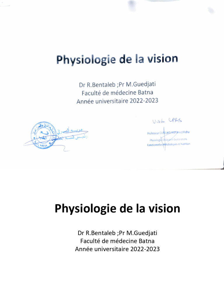 Physiologie de la vision humaine | PDF | Rétine | Système visuel