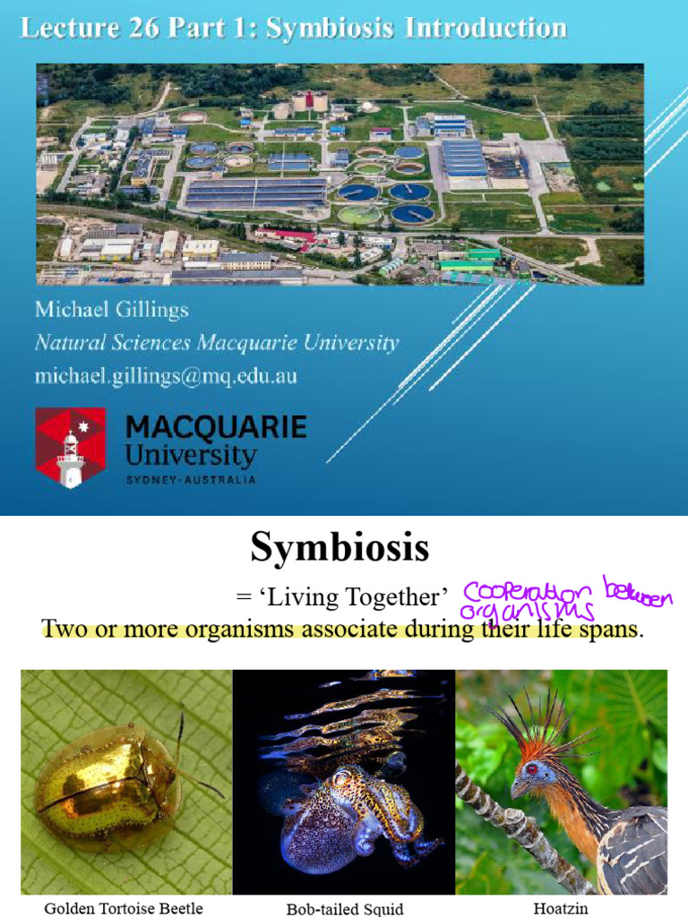 L26 Symbiosis | PDF | Coral Reef | Symbiosis