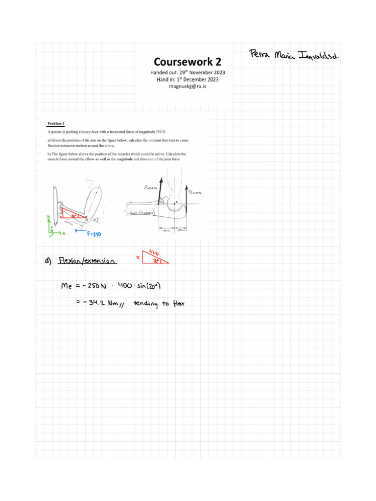 Course Work 2 | PDF | Joints | Musculoskeletal System