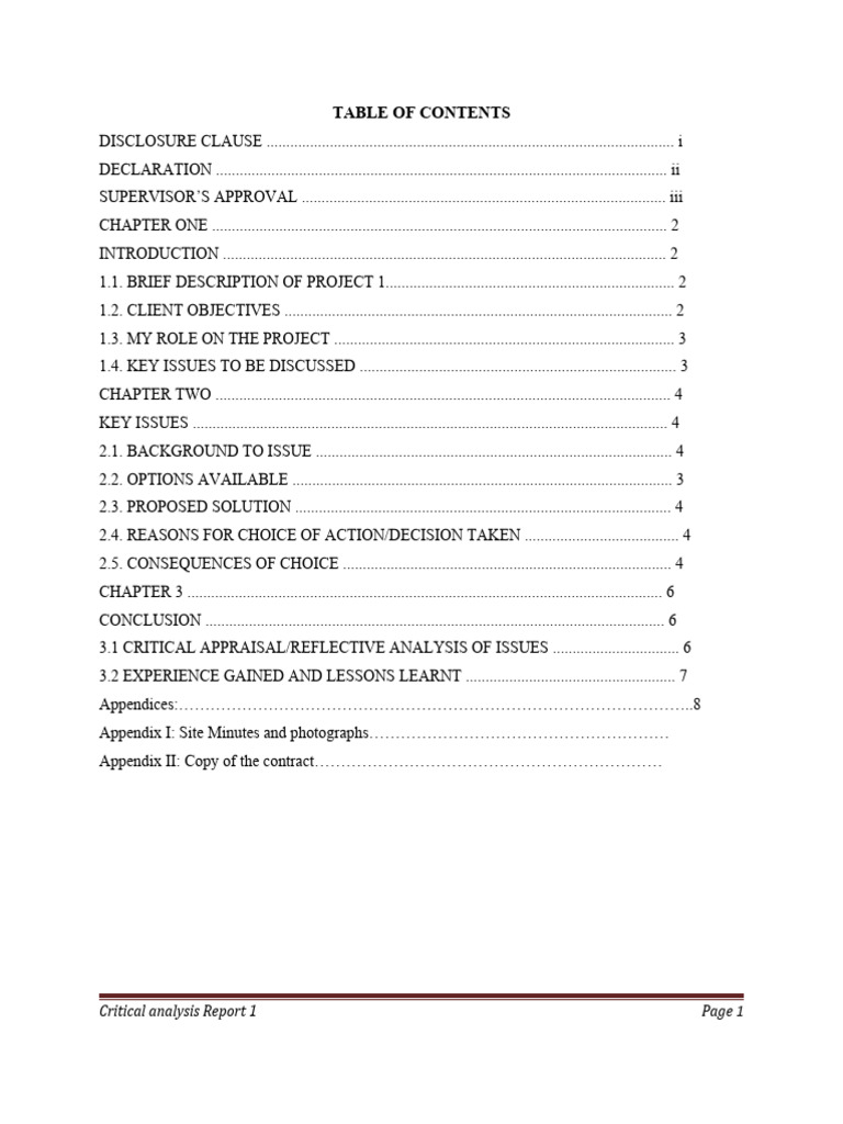 1st Critical Analysis Report | PDF