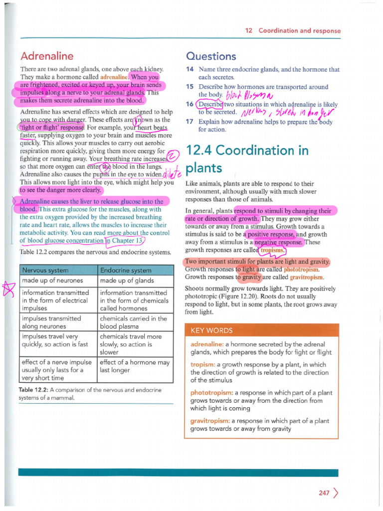 Understanding Plant Tropisms | PDF