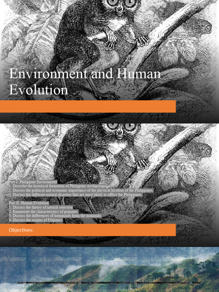 Human | PDF | Homo | Hominidae