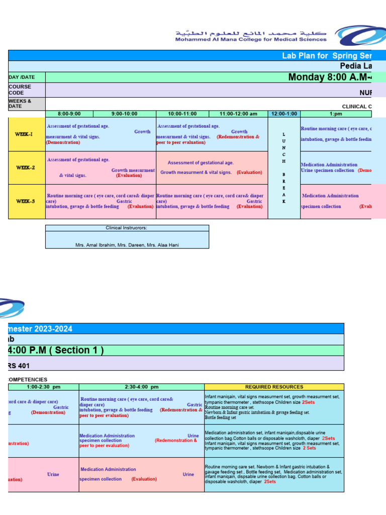Lab. Plan Section 1 Monday | PDF | Family | Childhood
