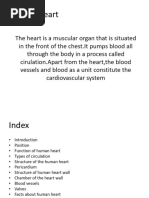Human Heart Structure Overview | PDF