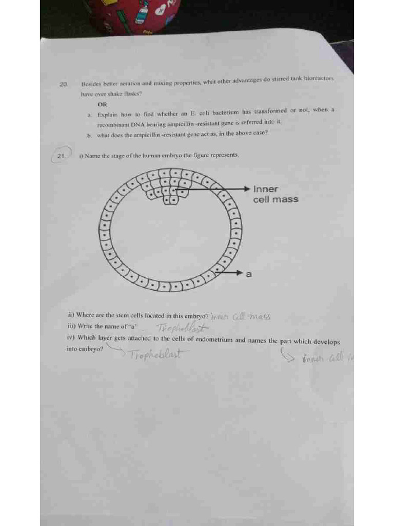 Imgtopdf 1501241838043 | PDF