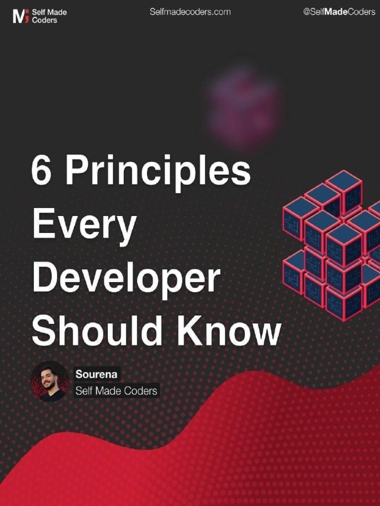 6 Principles Every Developer Should Know | PDF