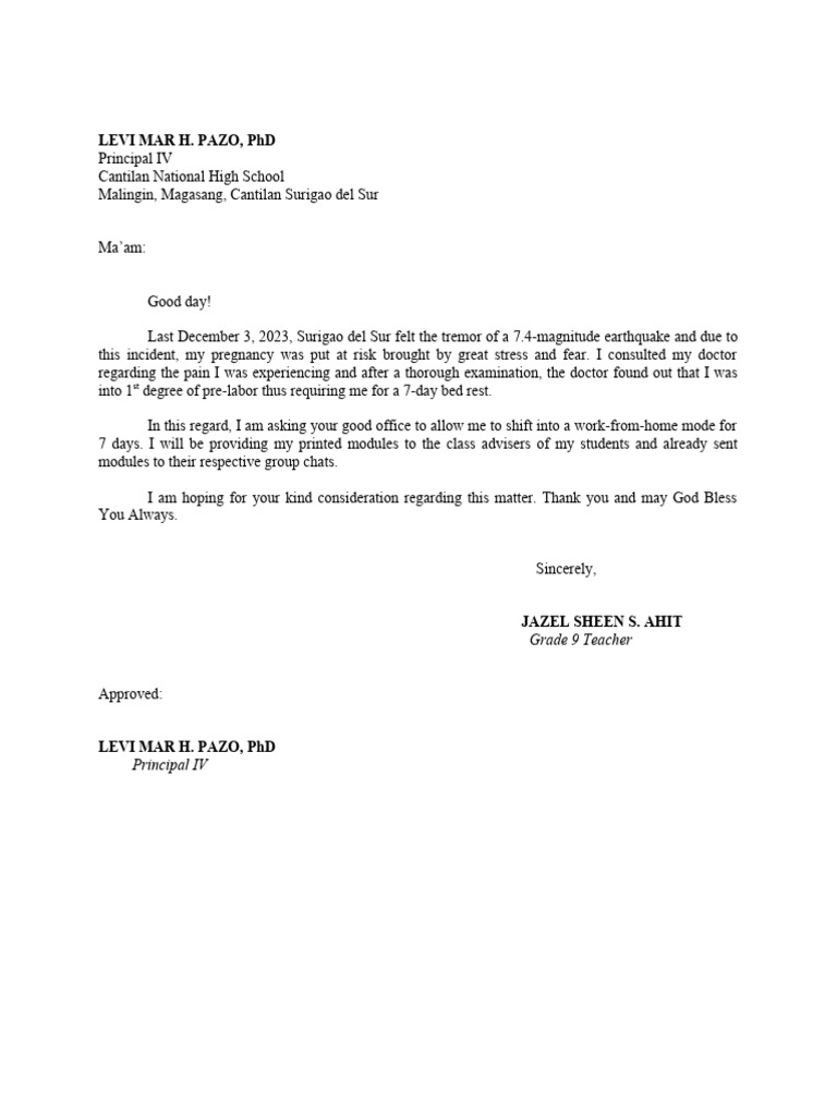 Letter of Intent | PDF