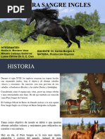 Técnica McMaster en Parasitología Veterinaria | PDF | Agua | Química