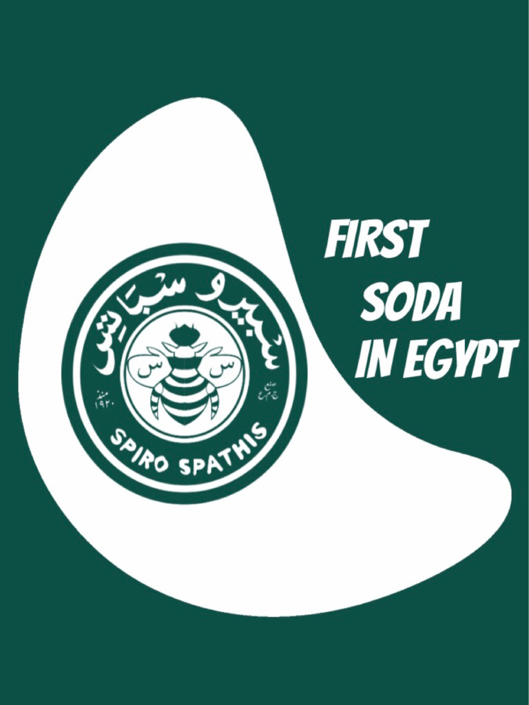 Spiro Spathis Marketing Strategy | PDF | Inflation | Market Segmentation