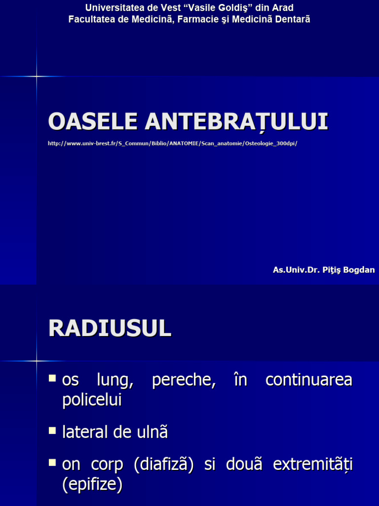 3.oasele Antebratului | PDF