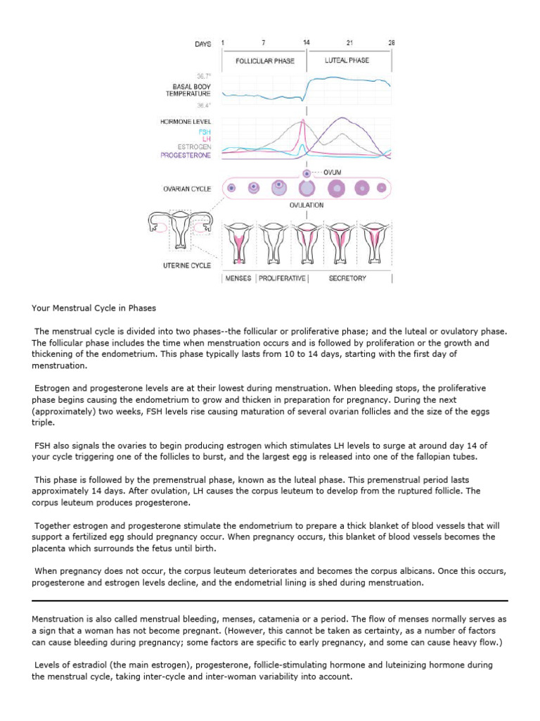 Menstrual Cycle Phases | PDF | Menstrual Cycle | Anatomy Menstrual Cycle Phases | PDF | Menstrual Cycle | Anatomy