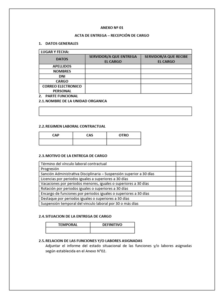 Entrega de cargo-MODELO.... | PDF | Informática