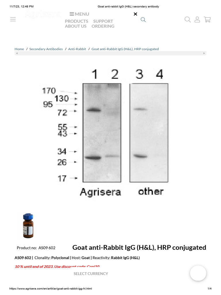 Goat Anti-Rabbit IgG (H&L) Secondary Antibody | PDF | Polyclonal ...