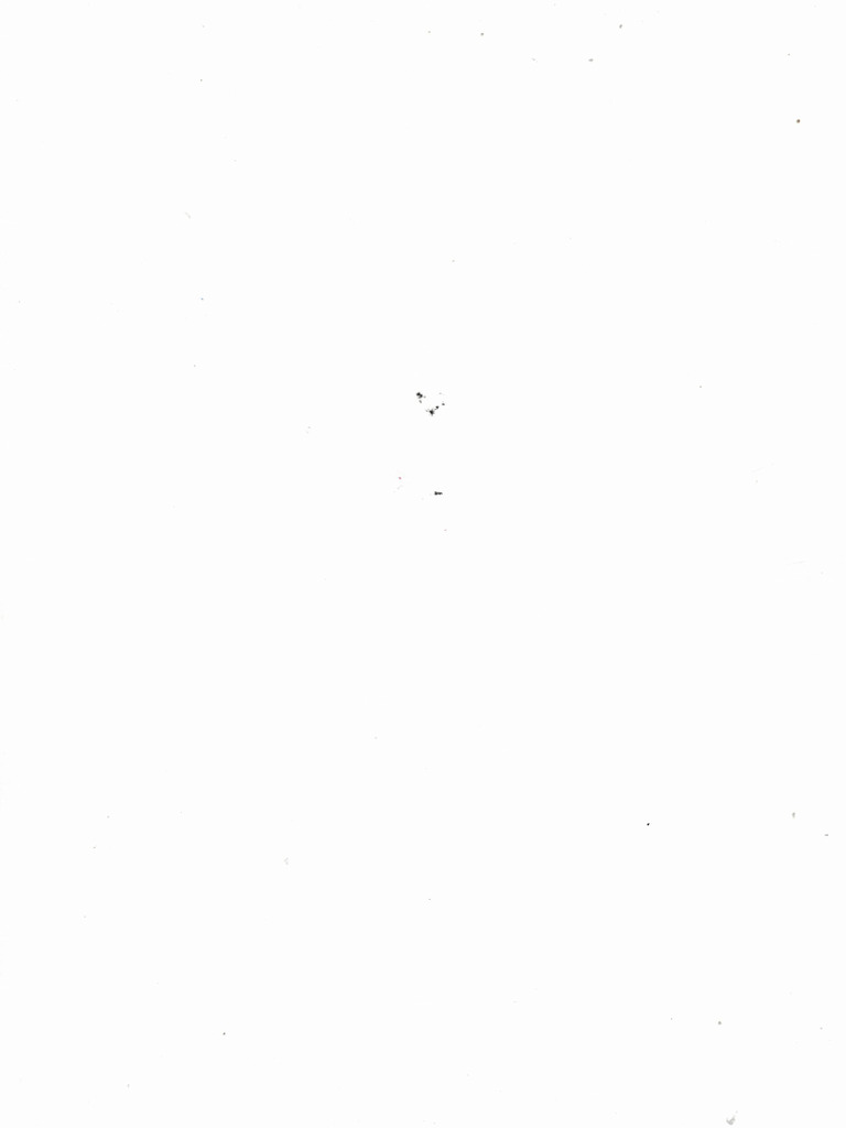 Folha em Branco | PDF