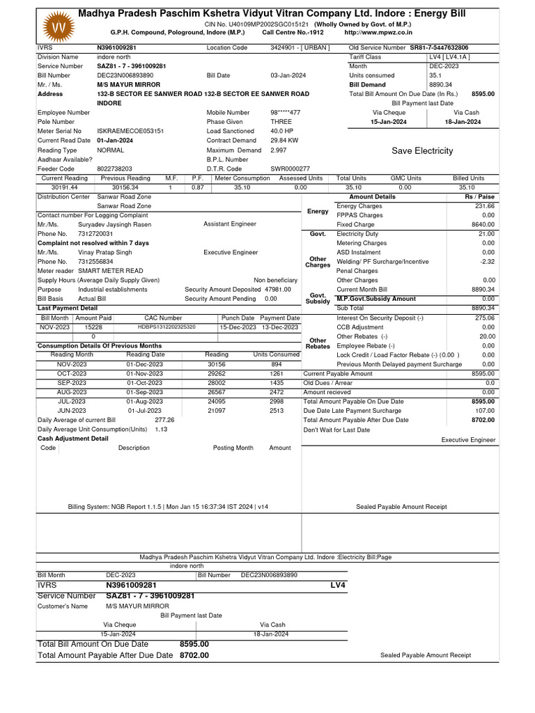 Electricity Bill PDF Receipt Economies
